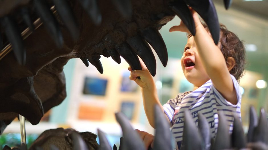 Tips for Surviving (And Even Enjoying) a Museum with a Baby - Go Places ...