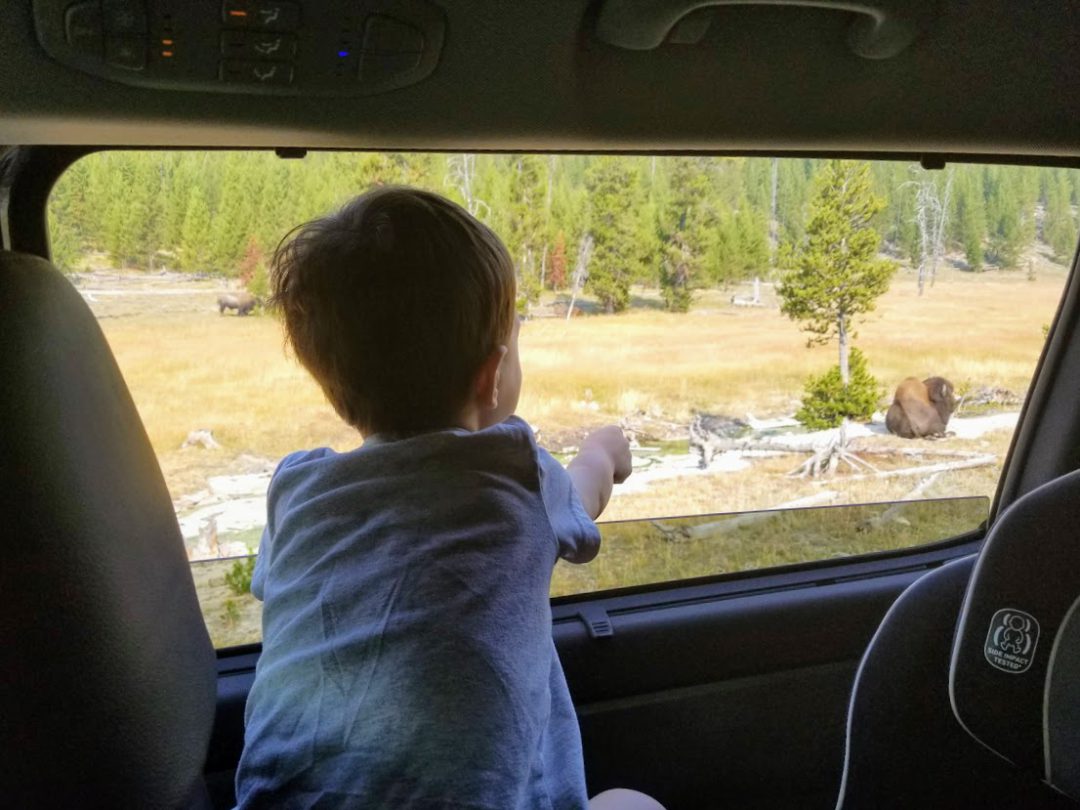 The Ultimate Guide to Yellowstone with Kids - Go Places With Kids