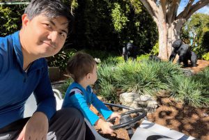 The Ultimate Guide to LEGOLAND for Toddlers - Go Places With Kids