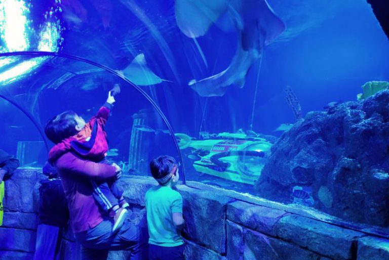 The Ultimate Guide to LEGOLAND for Toddlers - Go Places With Kids