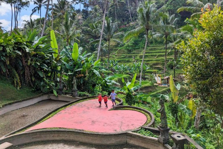 Tegallalang Rice Terraces- What to Know Before Visiting - Go Places ...